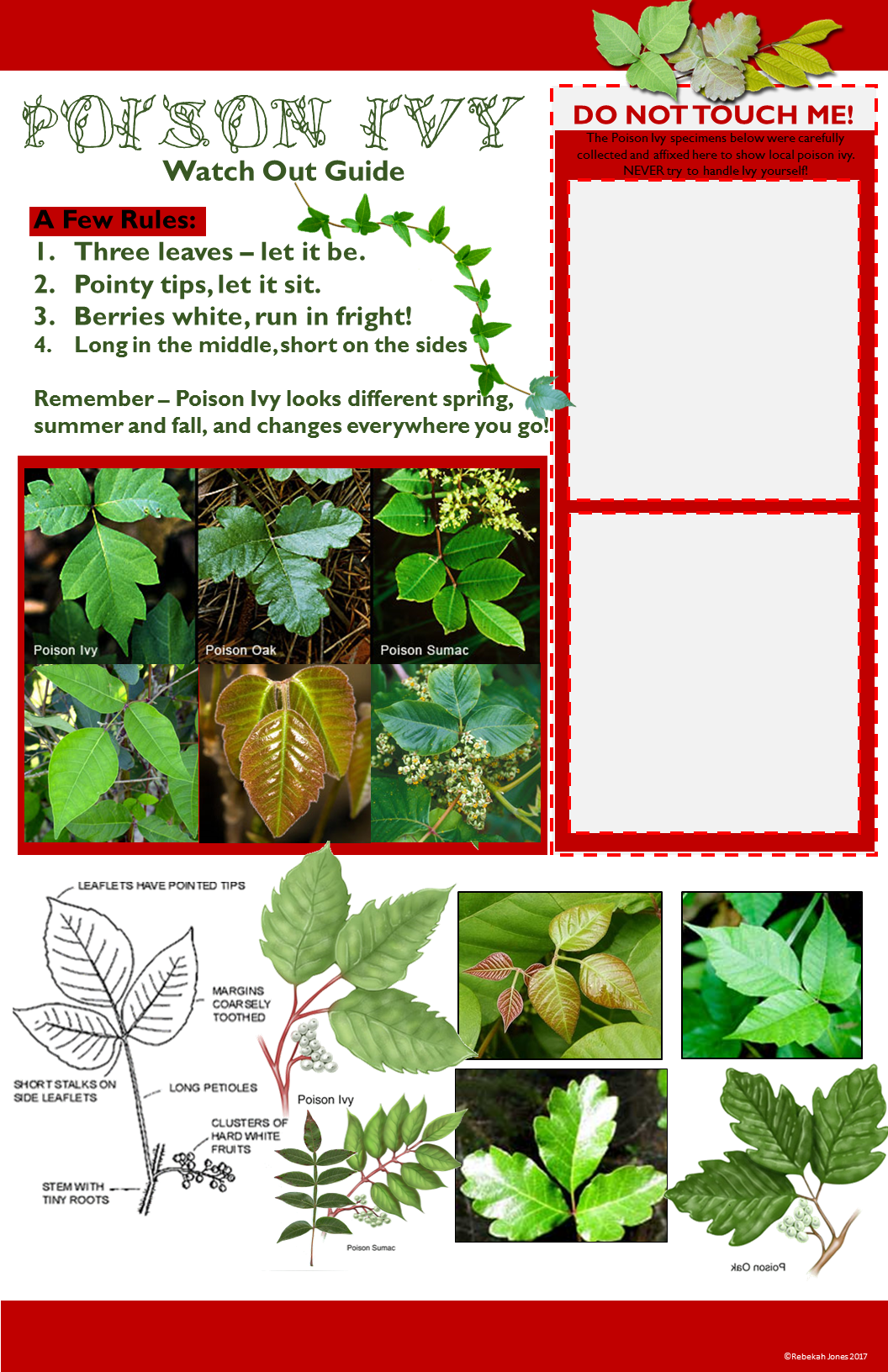 A Poison Ivy guide for people who know nothing about poison ivy ...